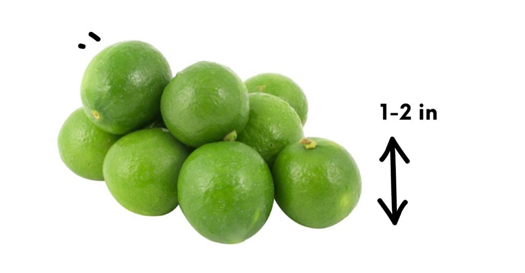 Learn about Our Premium Limes | Limonik