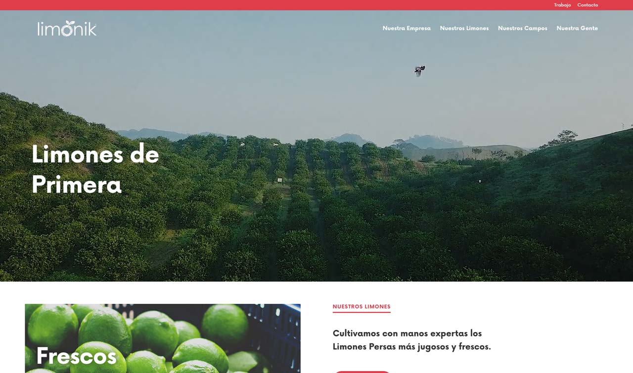 Limonik | Premium Limes