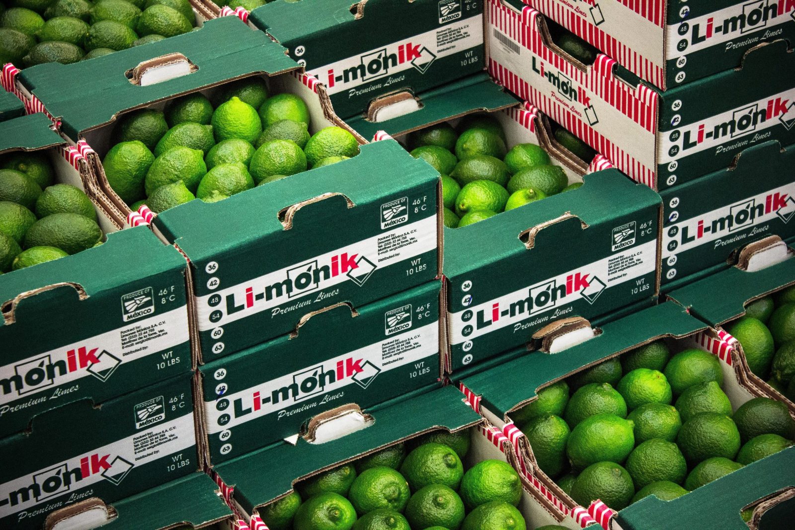 Tight market for Mexican limes | Limonik